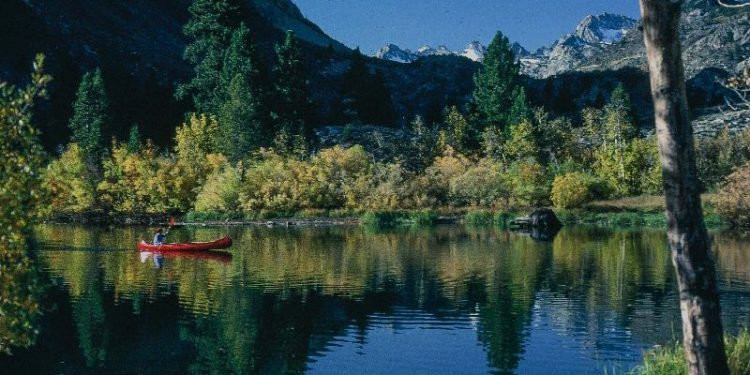 162 best websites for free stock photos & images - EH